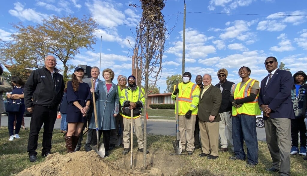 Detroit Tree Equity Partnership launches five-year program to improve ...