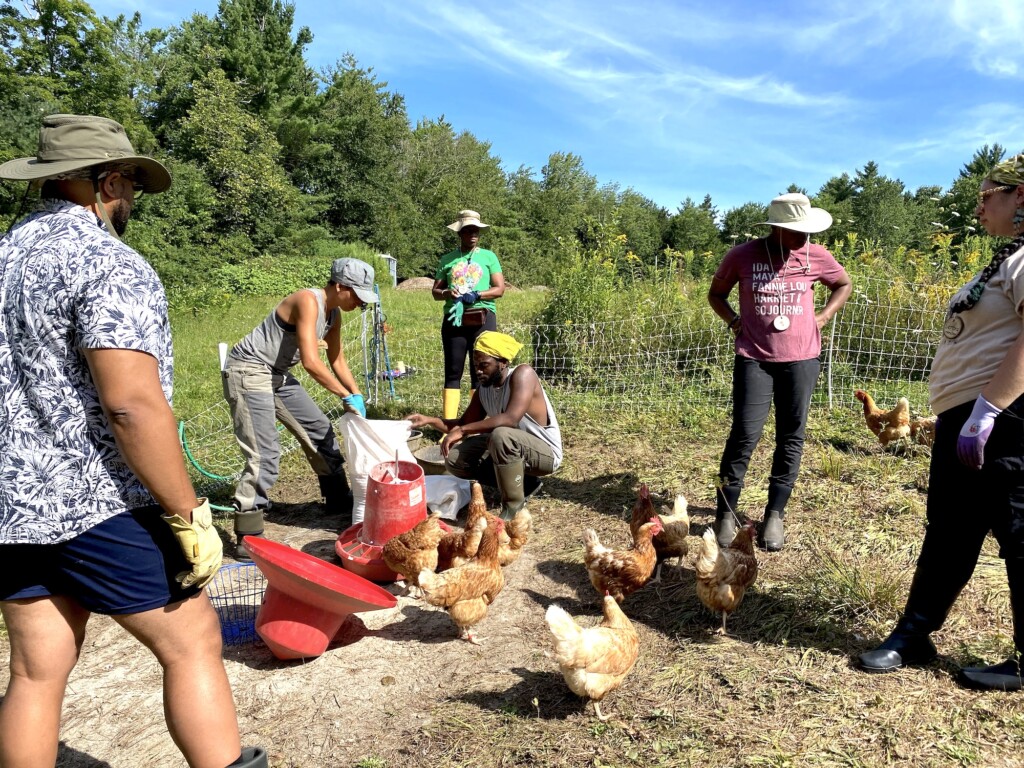 Feeling like home: A Highland Park gardener reflects on her visit to ...