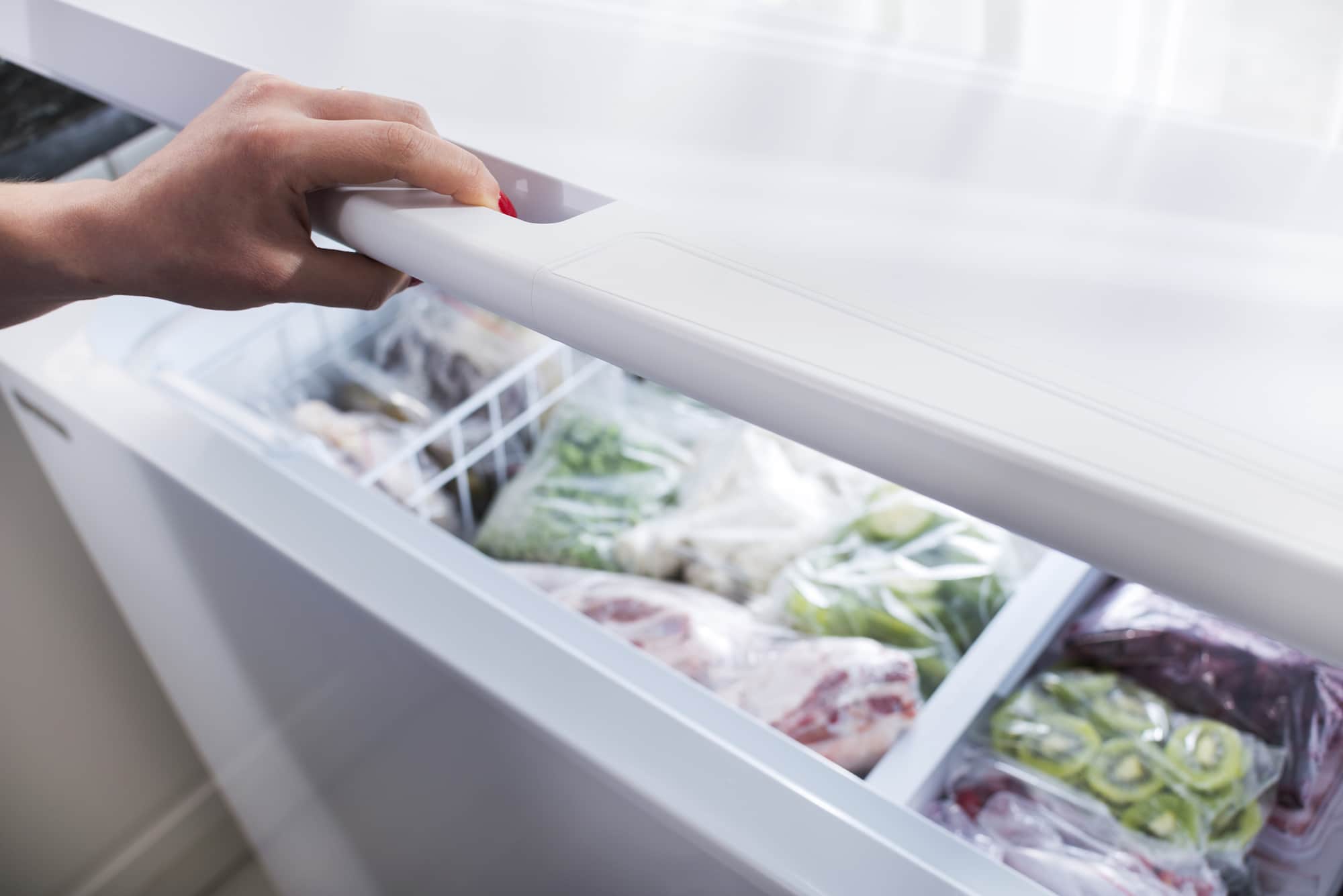 How to freeze food to reduce waste and save money – Planet Detroit