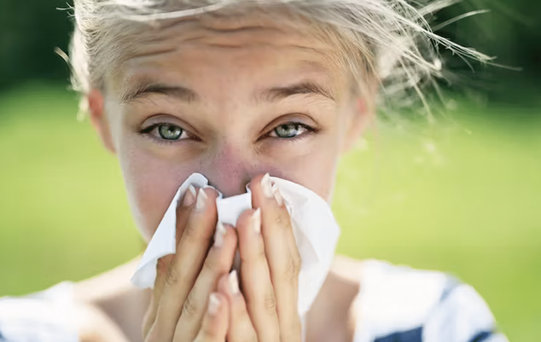 Allergy season is getting more intense with climate change – but we’re ...
