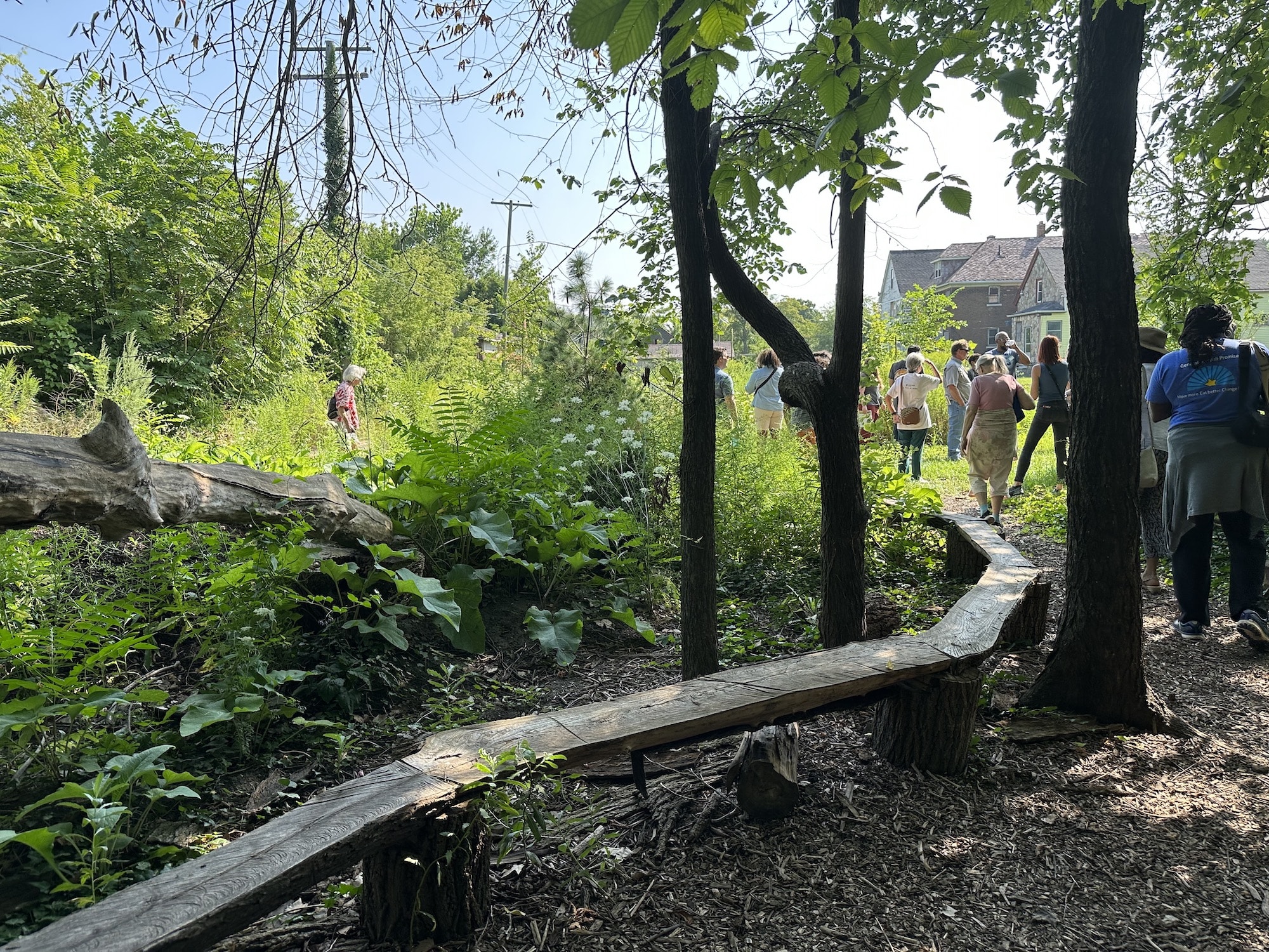 Grassroots greenspace projects expand Detroit’s open space network ...