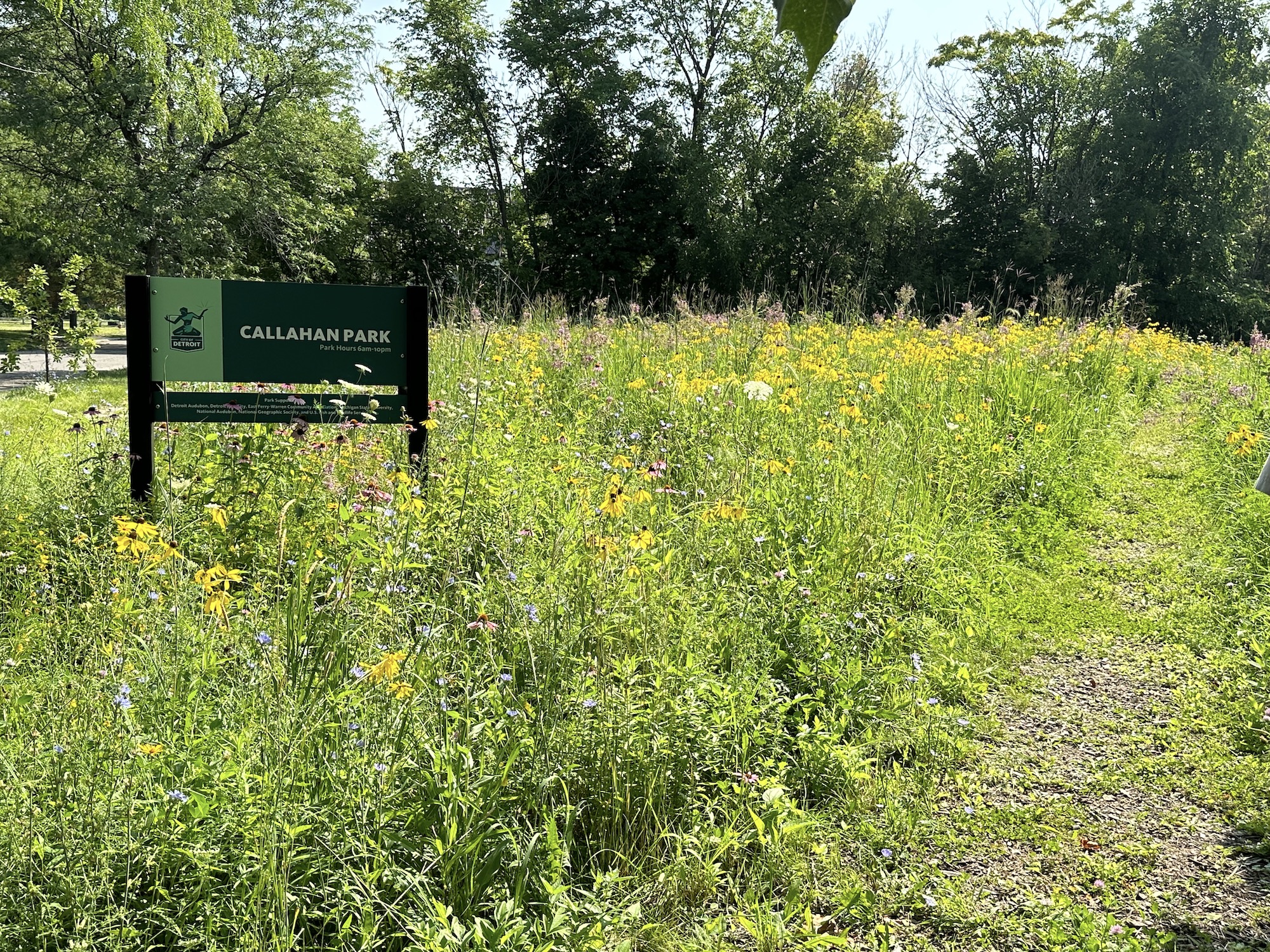 Grassroots greenspace projects expand Detroit’s open space network ...
