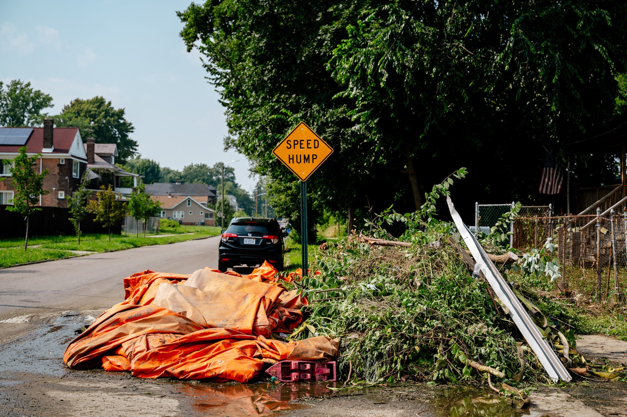Climate costs imperil Detroit's unique, diverse Jefferson Chalmers ...