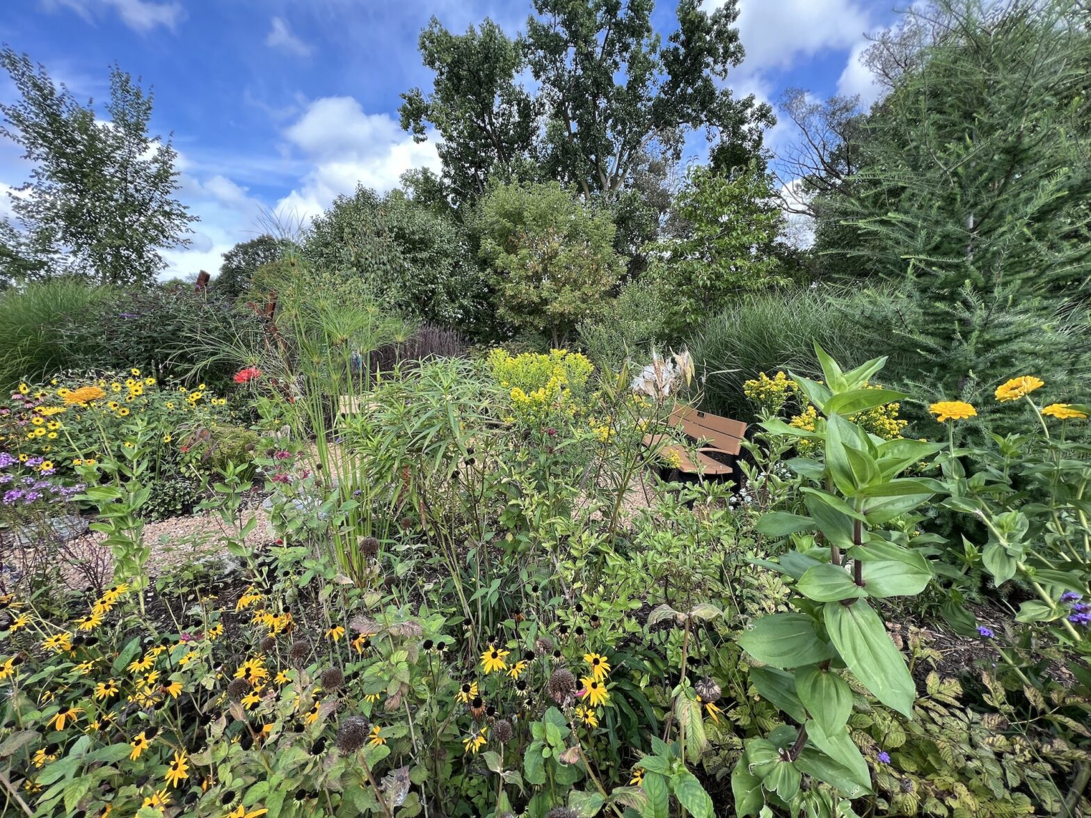 House bills aim to protect Michigan’s pollinators – Planet Detroit