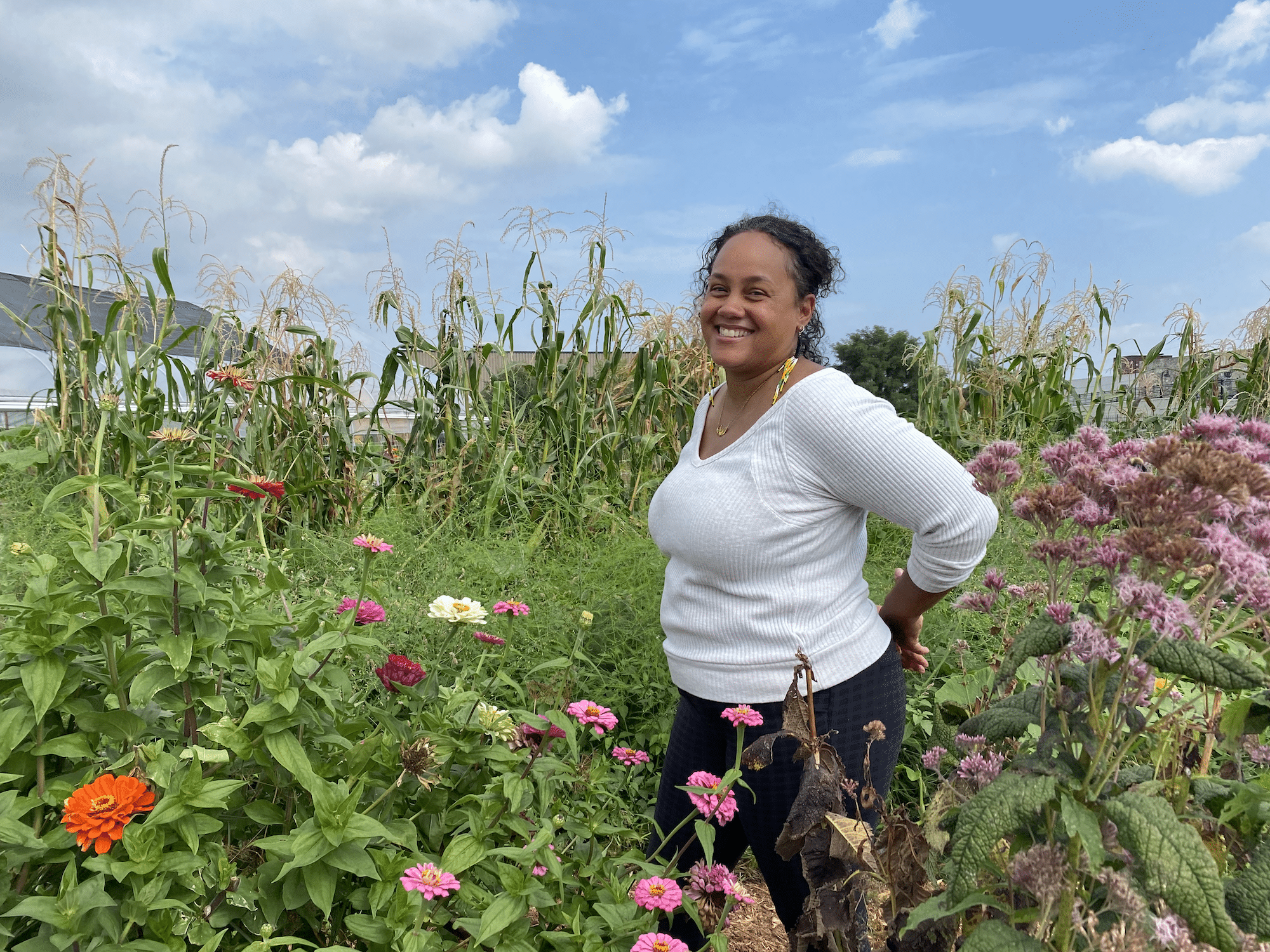 Detroit urban farming: A new vision for gardeners and green spaces ...