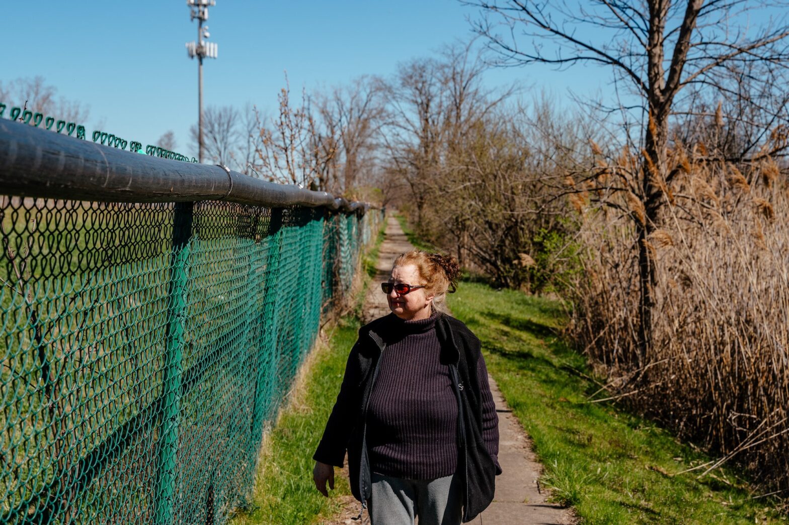 Metro Detroit landfill brings rare wetland destruction – Planet Detroit