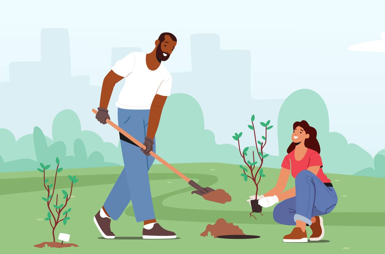Michigan tree planting: A Detroiter’s guide – Planet Detroit