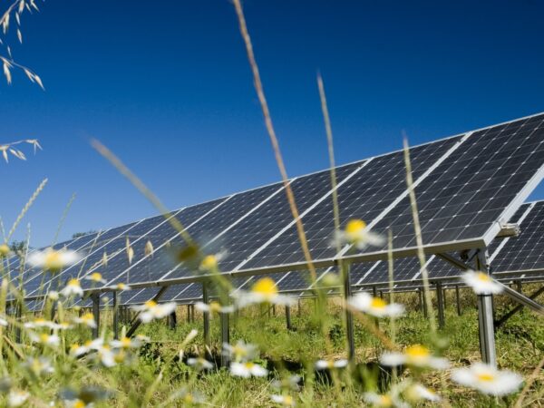 Detroit Mayor unveils city's first solar neighborhoods – Planet Detroit