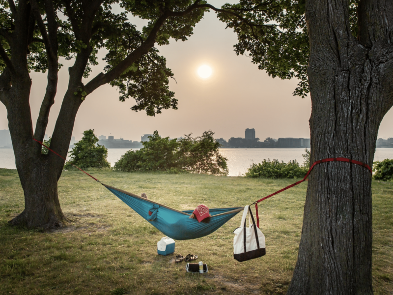 Detroit news, Michigan environmental news, information | Planet Detroit