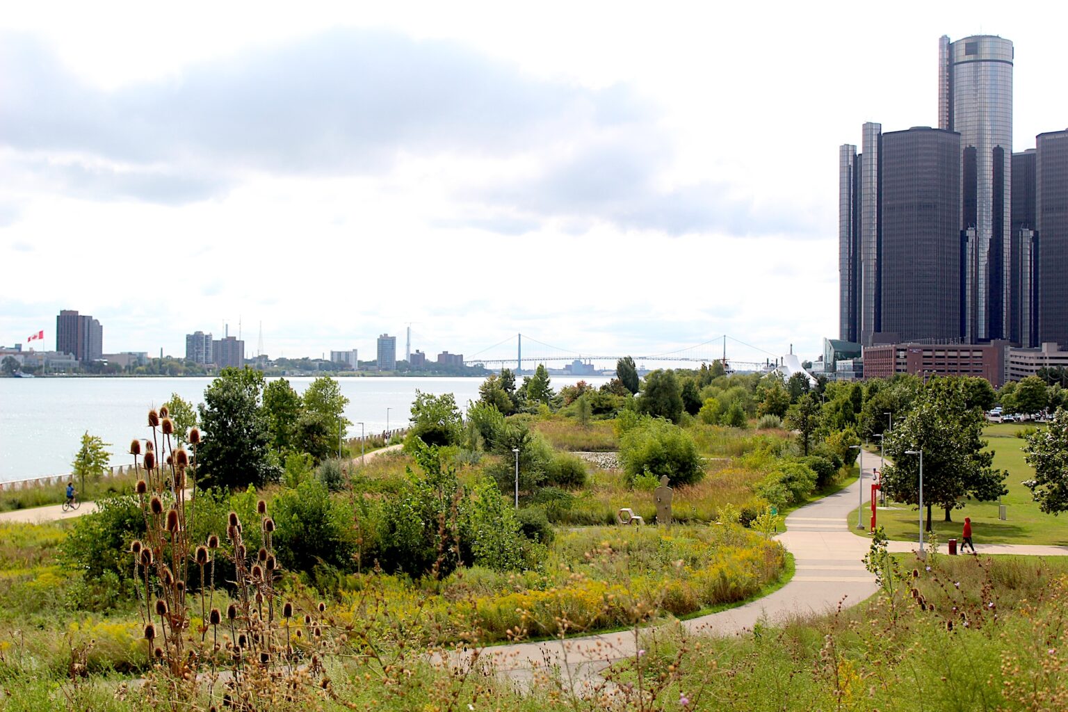 Wetlands in Metro Detroit – Planet Detroit + Outlier Media