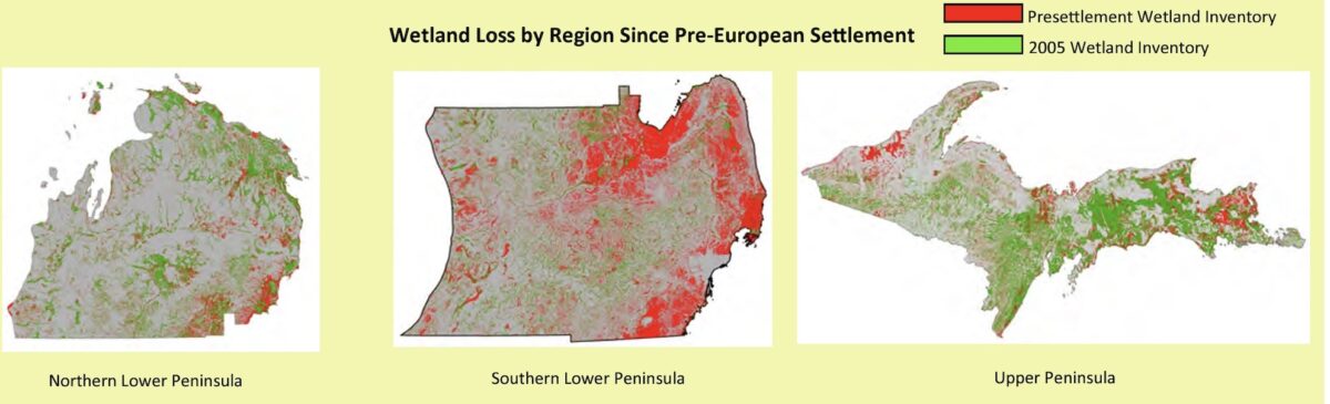 Michigan wetlands: What Metro Detroiters should know – Planet Detroit