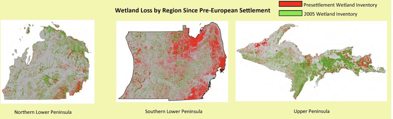 Michigan wetlands: What Metro Detroiters should know – Planet Detroit