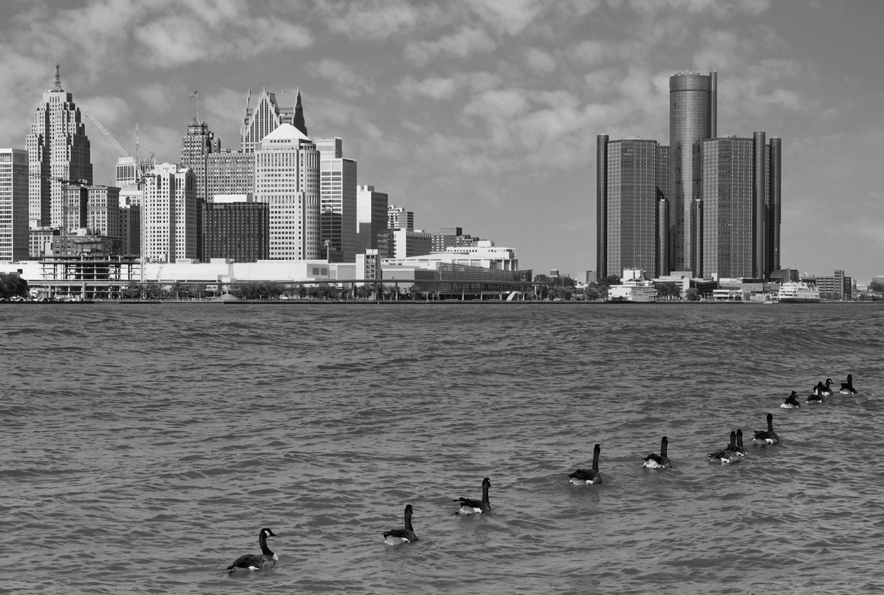 Ecology of Migration on Detroit River – Planet Detroit