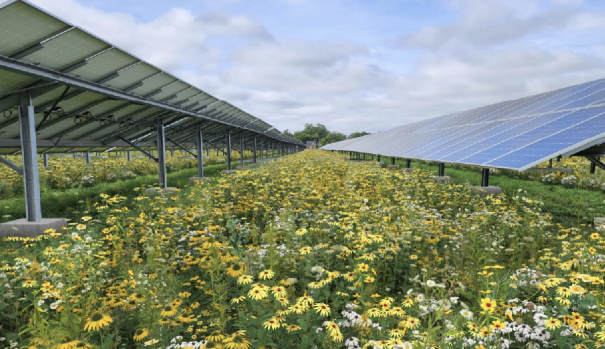 Detroit solar initiative: Greenfield-McNichols, Houston-Whittier ...