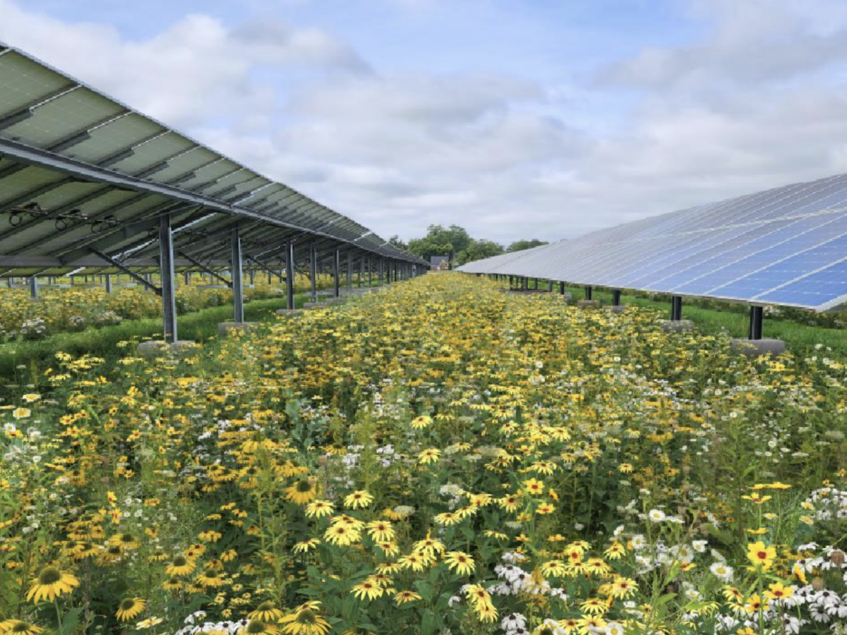 Detroit, DTE launch first neighborhood solar array near City Airport ...