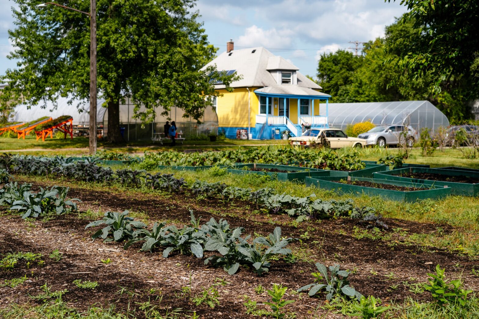 Detroit's North End benefits from community land trust – Planet Detroit