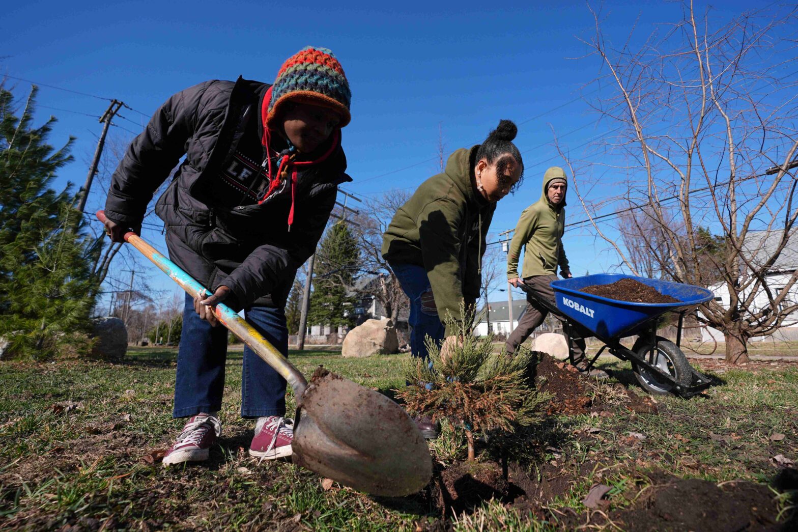 Pilot project brings giant sequoias to Detroit's east side on Earth Day ...