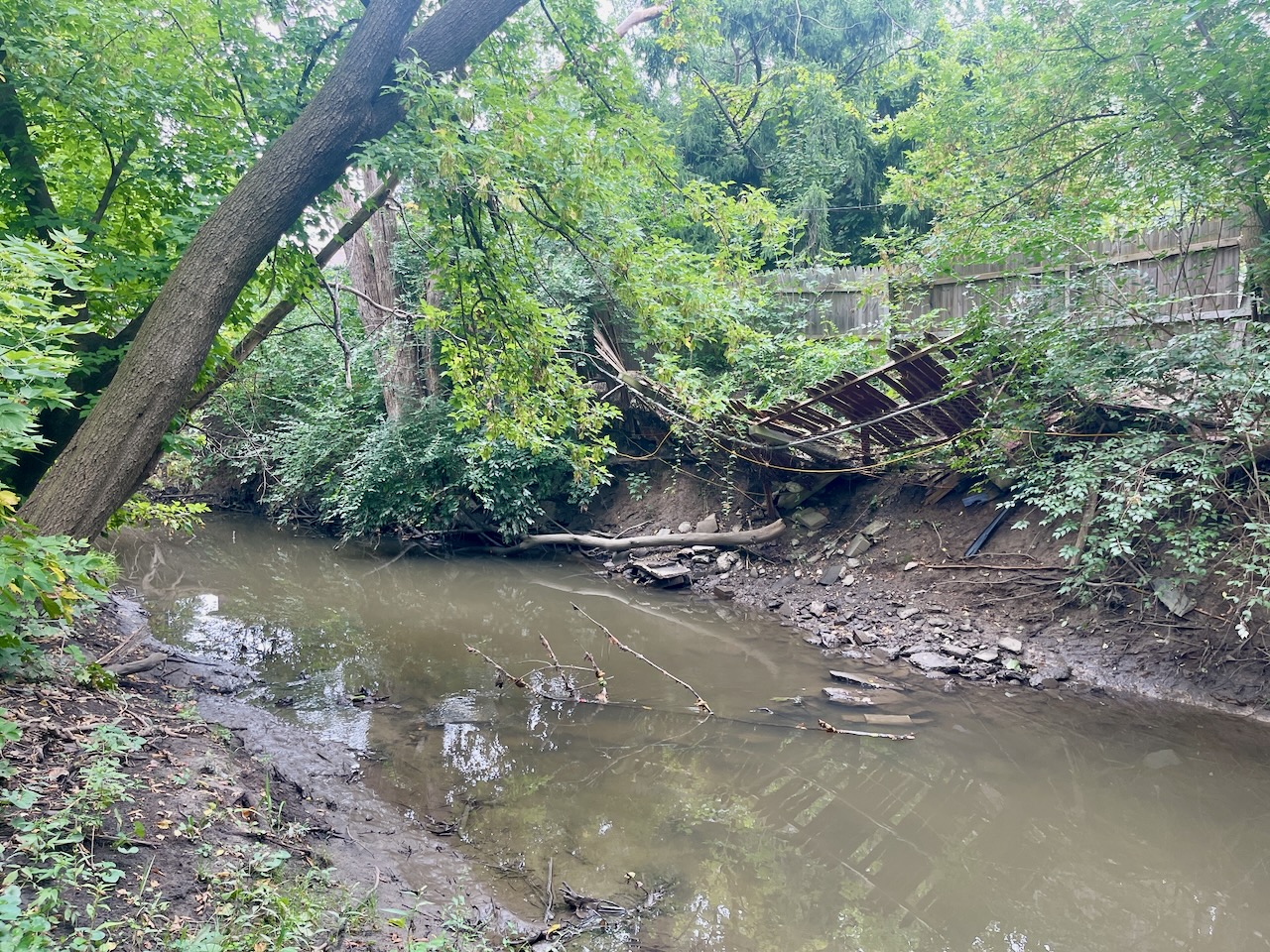Dearborn Heights bears the brunt of Ecorse Creek flooding: 'Nowhere else for the rain to go ...