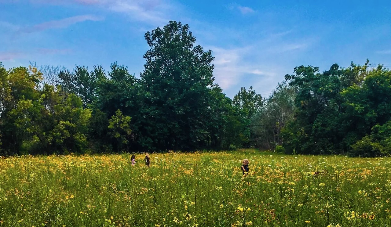 Geospatial study uncovers Detroit's green space disparities – Planet ...