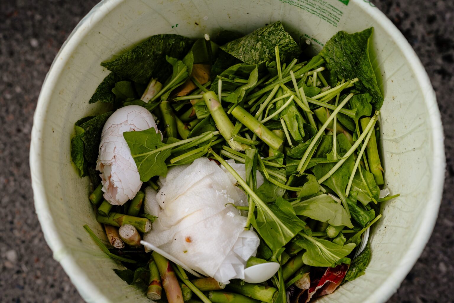 Michigan's composting efforts seek to reduce landfill waste – Planet ...