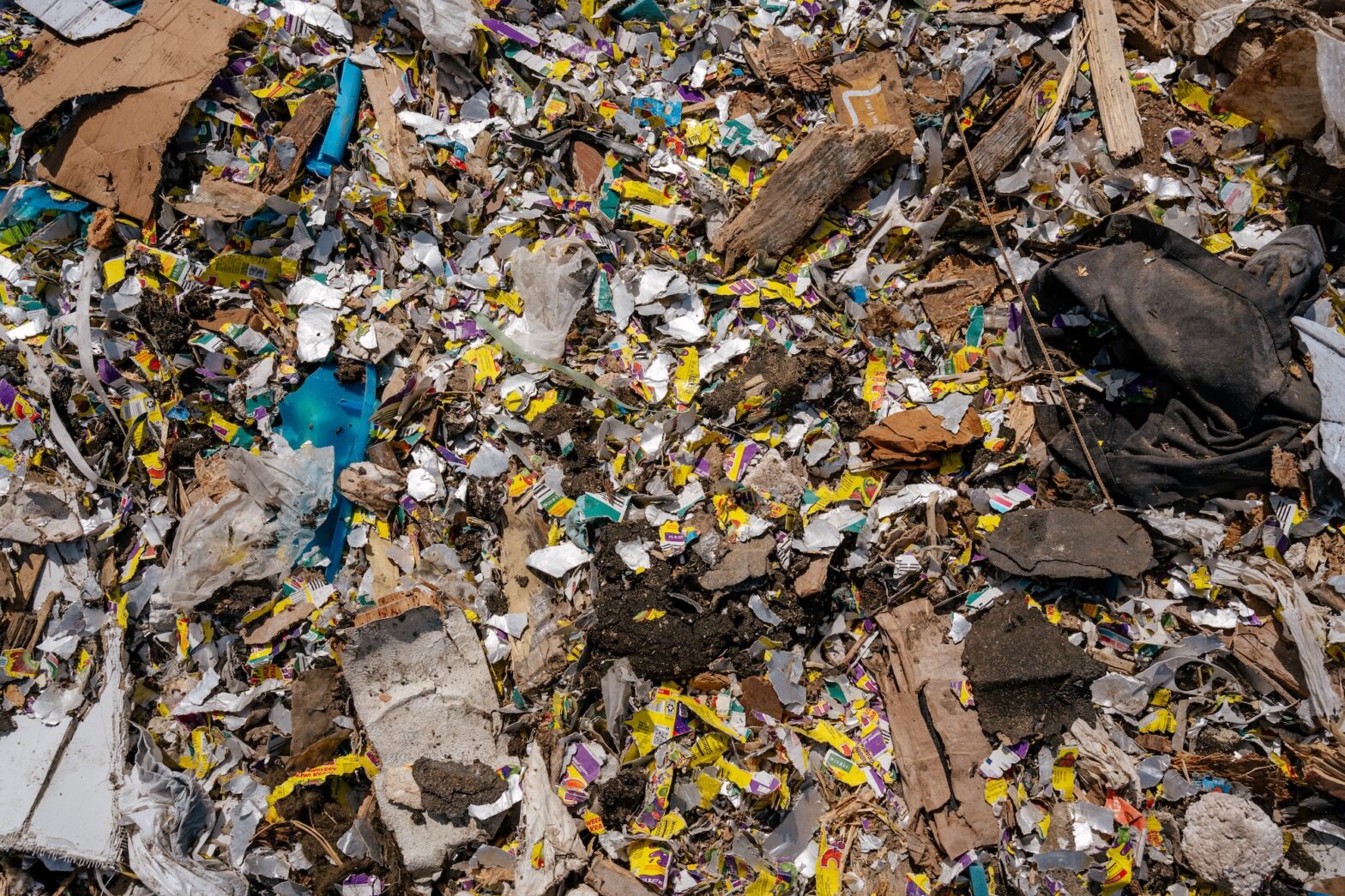 The movement tackling Michigan's food waste problem – Planet Detroit