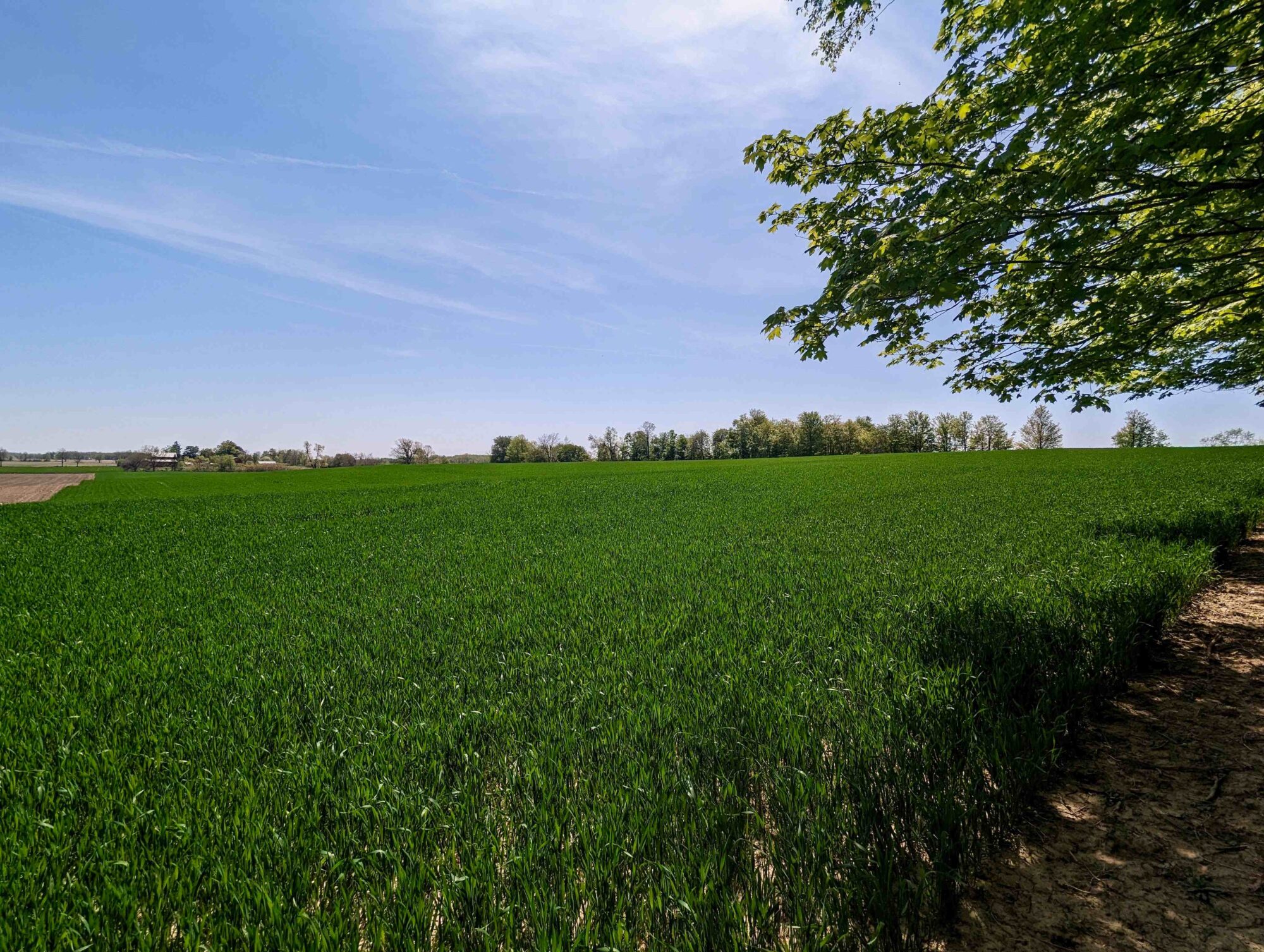 Legacy Land Conservancy challenges $25 million USDA grant decision ...